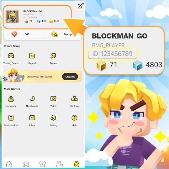 BlockMan GO Top Up (Global) | Fast Delivery & Reliable